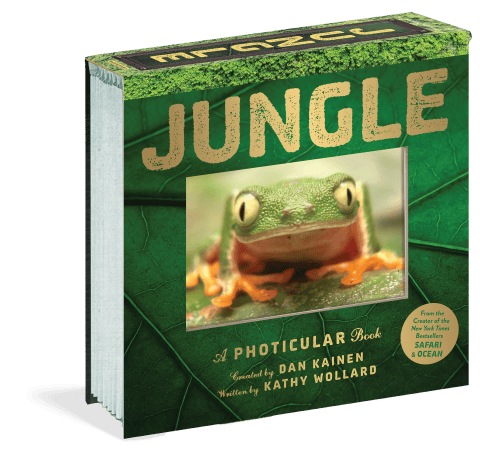 A Photicular Book